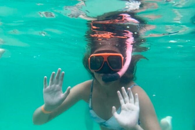 Family Friendly Snorkeling and Dolphin Tour - Final Thoughts