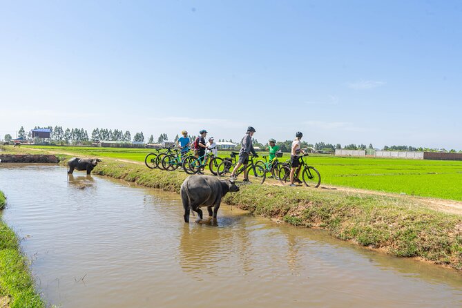 Floating Village Bike & Boat - Inclusive Lunch & Boat Ticket - The Sum Up: Why This Tour Stands Out