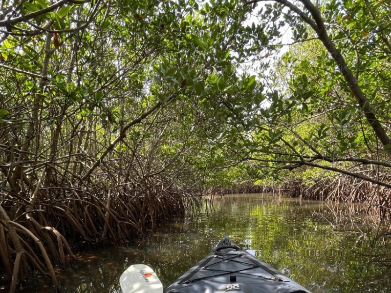 Fort Pierce: Prehistoric Preserve Kayak Tour - Final Thoughts