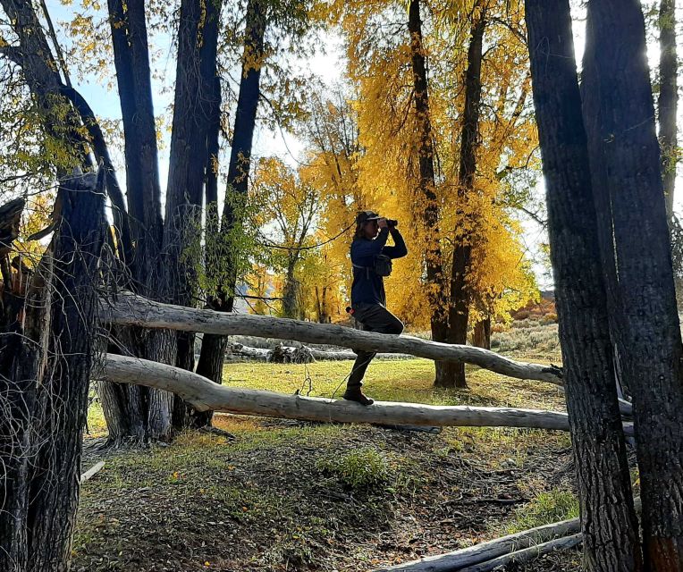 From Jackson Hole: Half-Day Grand Teton Wildlife Tour - FAQs