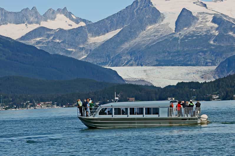 From Juneau: Whale Watching Cruise with Snacks - A Balanced Perspective