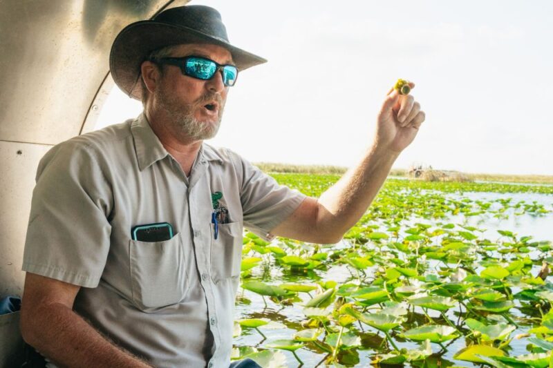 From Miami: Everglades Airboat, Wildlife Show & Bus Transfer - Final Thoughts: Who Will Love This Tour?