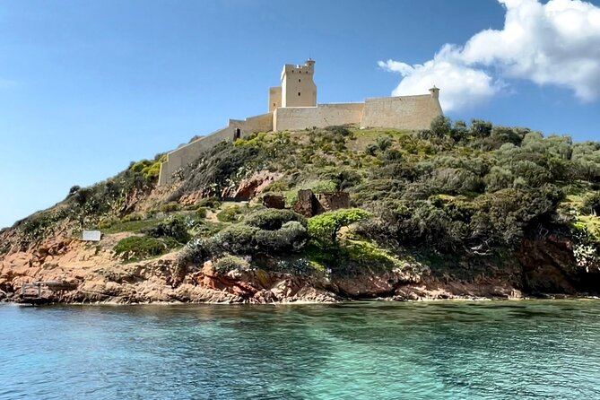 From Sagone/Cargèse: Scandola Girolata Calanques Piana Snorkeling - Recommendations From Travelers