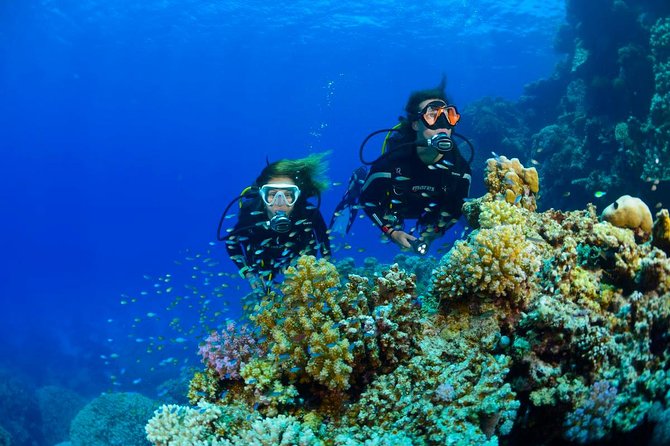 Full-Day Beginner Scuba Course with Private Tuition, Racha Yai - Final Thoughts