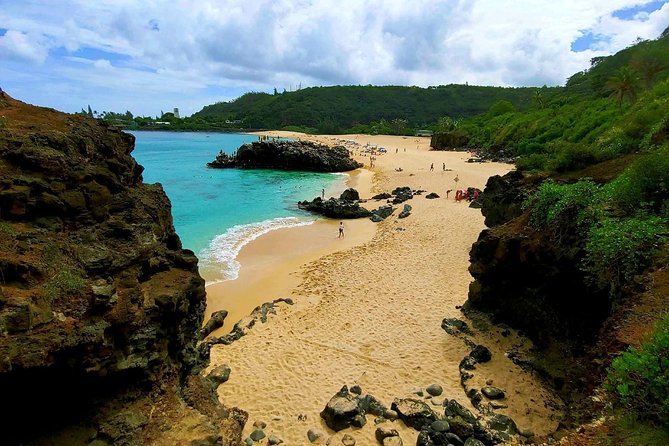 Full Day Customized North Shore Private Tour - Highlights From Traveler Reviews