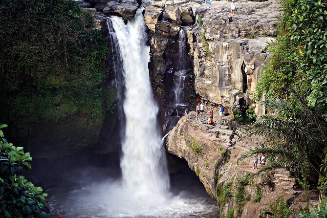 Full-Day Highlights and Best of Ubud Village - FAQs: Your Practical Questions Answered