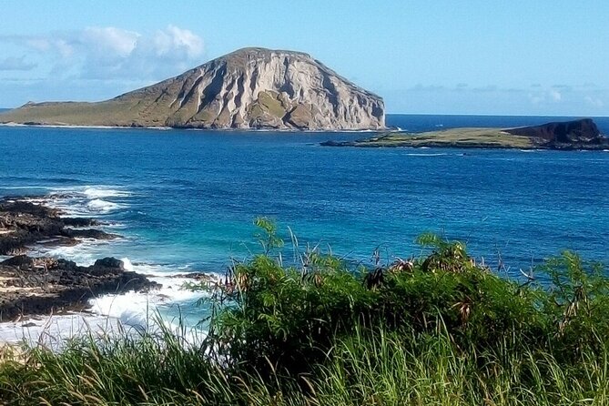 Full Day Oahu Tour with Byodo Temple & Waimea Waterfalls - Macadamia Nuts and Pineapple Tasting