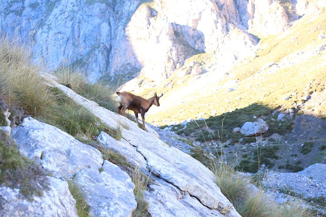Full Day Private 4WD Tour From Santander to Picos De Europa. Excellent Meals. - Booking and Cancellation Policy