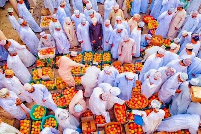 Full Day Private Nizwa/Jebel Akhdar - In The Sum Up