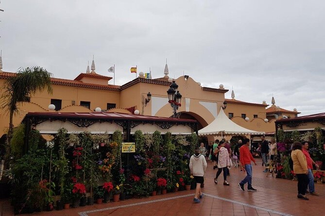 Full Day Tour of Santa Cruz and San Cristóbal De La Laguna - Exploring Santa Cruz