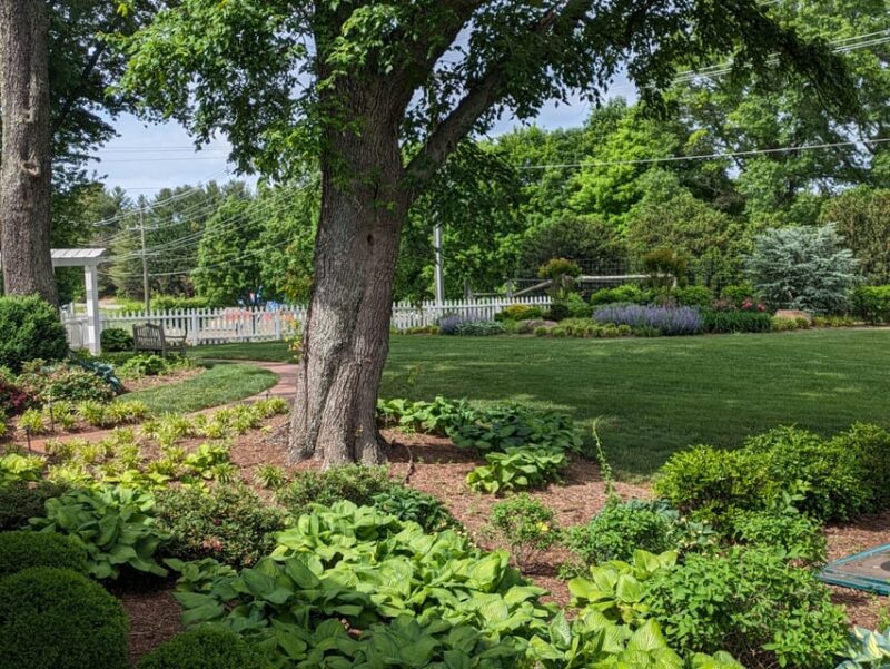Full Day Winery Tour from Metro DC & Leesburg - 3 Wineries - Authentic and Enjoyable: Insights from Reviews