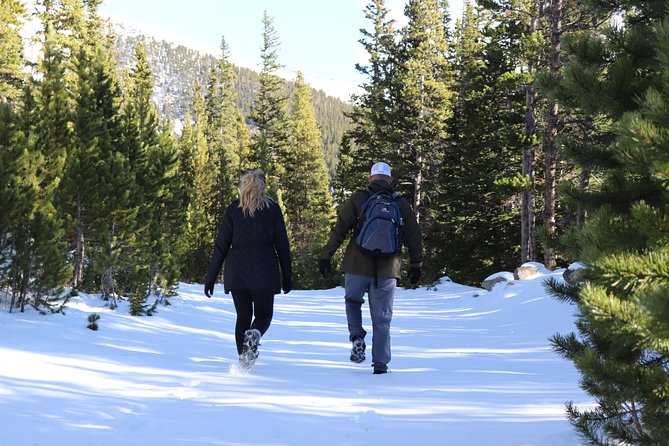 Glacier Hiking & Geothermal Cave Pools Tour - Exploring St. Marys Glacier