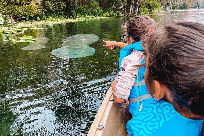Glass Bottom Kayak - Silver Springs & Wildlife Tour - Customer Feedback
