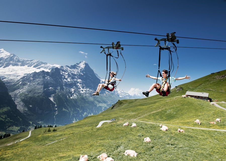 Grindelwald Gondola Ride to Mount First - Since You Asked
