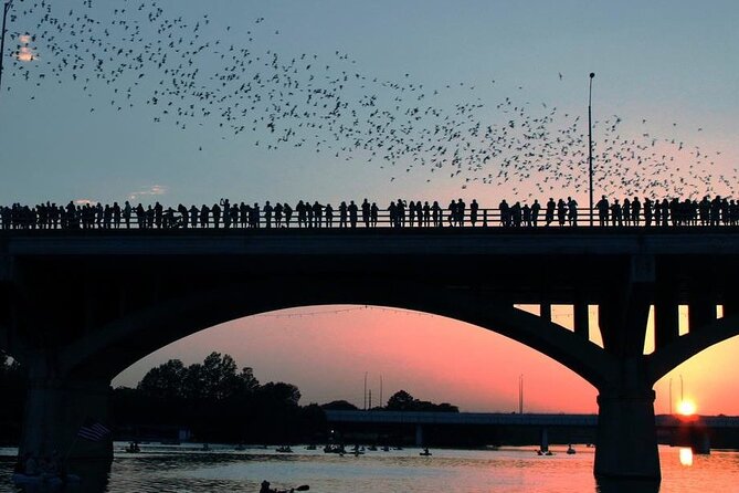 Guided Sunset Bat Kayak Tour in Austin - Preparing for the Tour