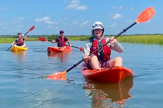 Guided Tour for Dolphin & Sea Turtle Observation in Saint Augustine, Florida - Pricing and Booking Information