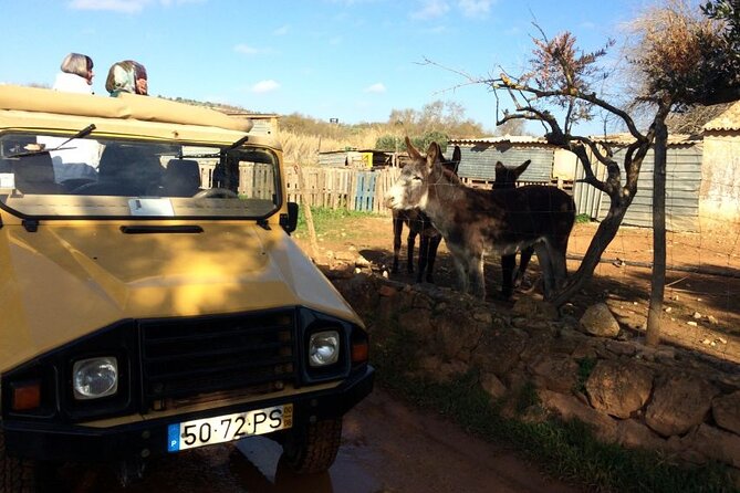 Half-Day Algarve Jeep Safari Sunset Tour - Jeep Safari Adventure