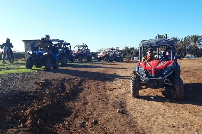 Half-Day Buggy Safari to Akamas Peninsula With Lunch - Exploring the Akamas Peninsula