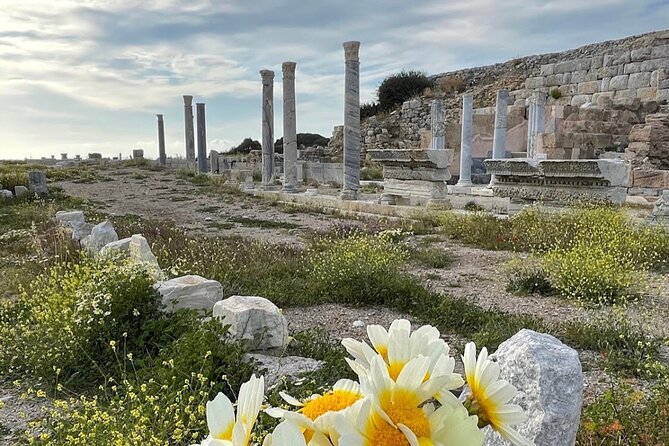 Half Day Guided Knidos Ancient City Tour - Exploring the Ancient City of Knidos