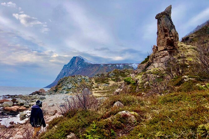 Half-Day Scenic Wildlife & Photographic Fjord Tour. - Group Size and Accessibility