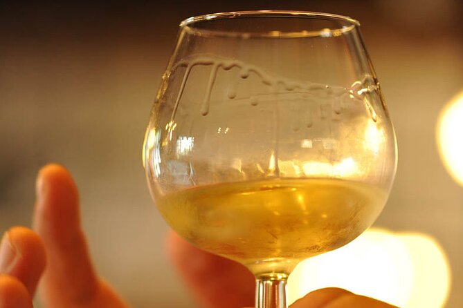 Half Day Tour of the Cote De Nuits Vineyards From Dijon - Traveler Feedback and Ratings