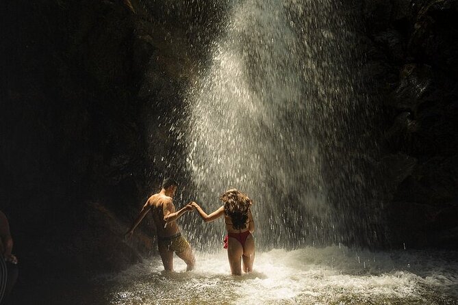 Half Day Waterfall Tour From Medellin - About the Tour Operator