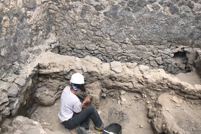 Herculaneum Private Tour With an Archaeologist - Exploring the Preserved Ruins of Herculaneum