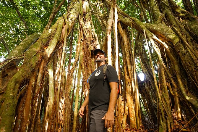 Hike Honolua Ridgeline - Reviews and Feedback
