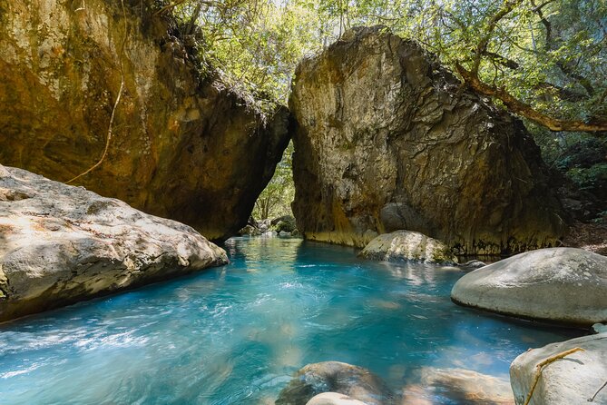Hiking Tour of La Leona Waterfall With Lunch - Wildlife and Natural Features