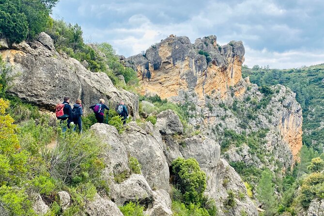 Hiking Tour of the Roman Aqueduct of Peña Cortada and Water Route - Tour Requirements and Accessibility