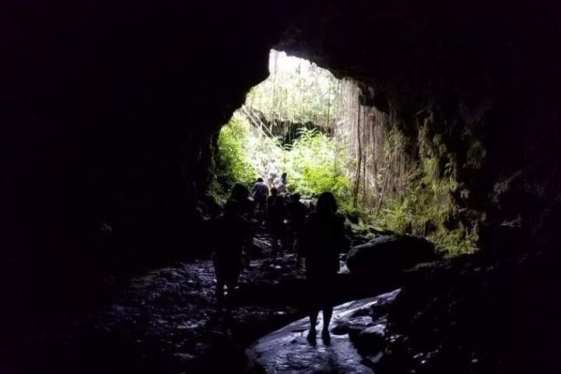 Hilo : Big Island Volcanoes National Park Adventure Tour - Final Thoughts: Who Is This Tour Best For?