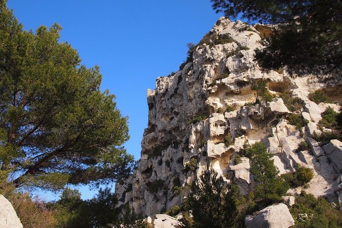 History and Van Gogh in Provence From Aix-En-Provence - Personal Experiences and Tour Highlights
