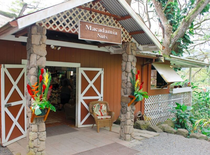 Honolulu: Oahu Sights and Bites Island Tour - The Sum Up: Who Is This Tour Best For?