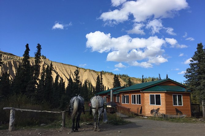 Horse-Drawn Covered Wagon Ride with Backcountry Dining - Transportation and Logistics
