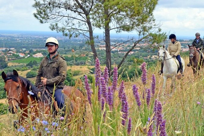 Horseback Riding In Lisbon - Arrábida - Louro Trail Mountain 5 - 6 Hours - Group Size and Requirements