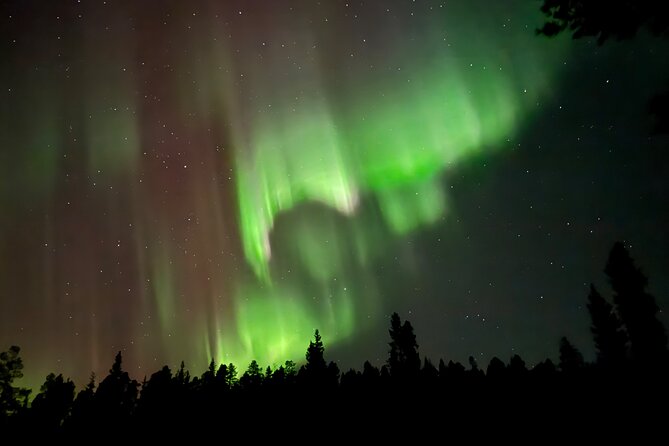 Husky Sled Ride Northern Lights Tour From Kiruna - The Thrill of Husky Sledding