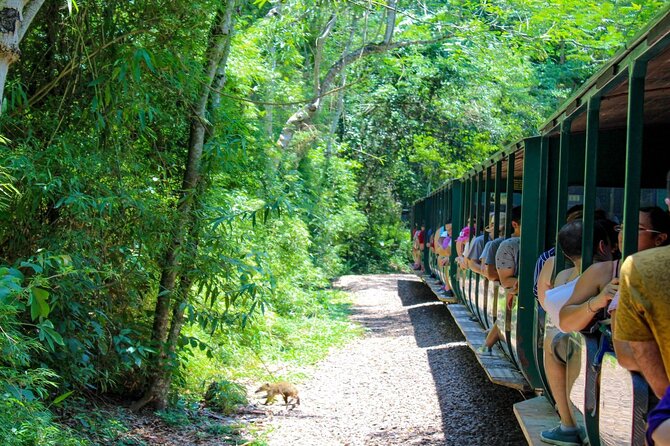 Iguazu Falls: Argentinian Side With Boat Ride, Jungle-Truck and Train - Experiences and Reviews From Past Guests