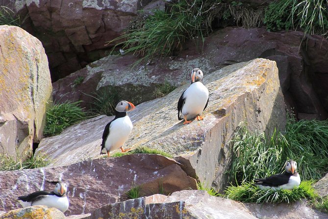 Inverness: John OGroats, Dunrobin Castle & the Far North - Additional Stops Along the Way
