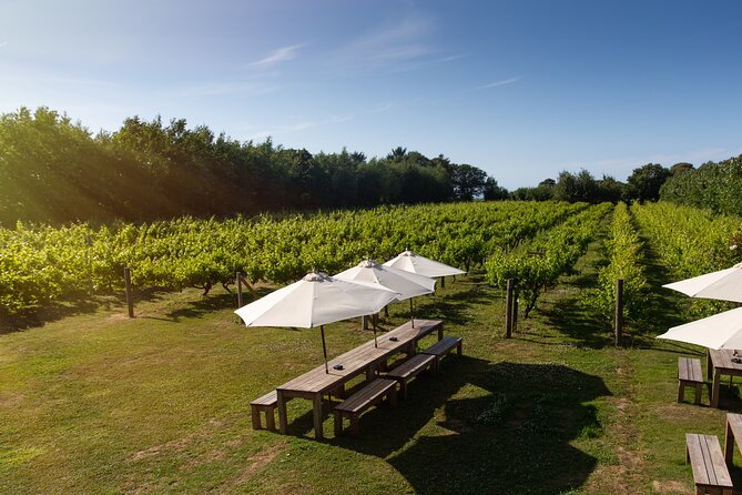 Jersey Premium Vineyard and Distillery Wine Tour and Tasting - The Unique Offerings of La Mare Wine Estate