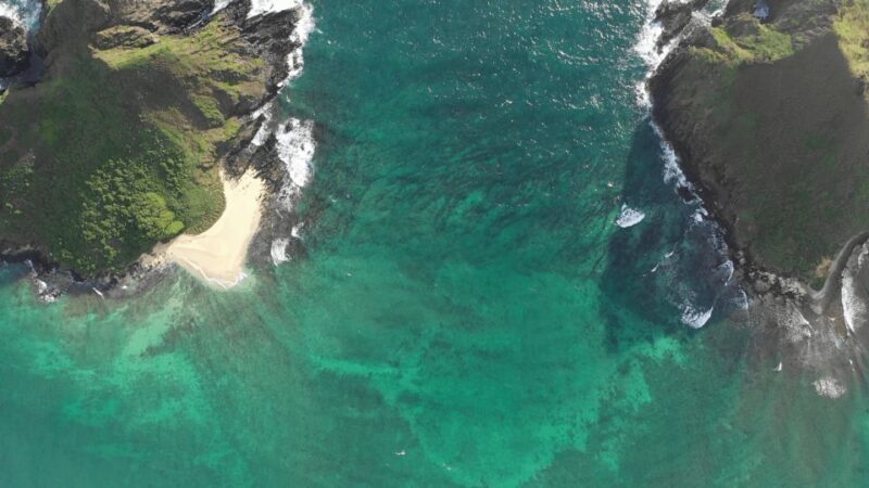 Kailua: Mokulua Islands Kayak Tour with Lunch - The Sum Up: Who Is This Tour Best For?