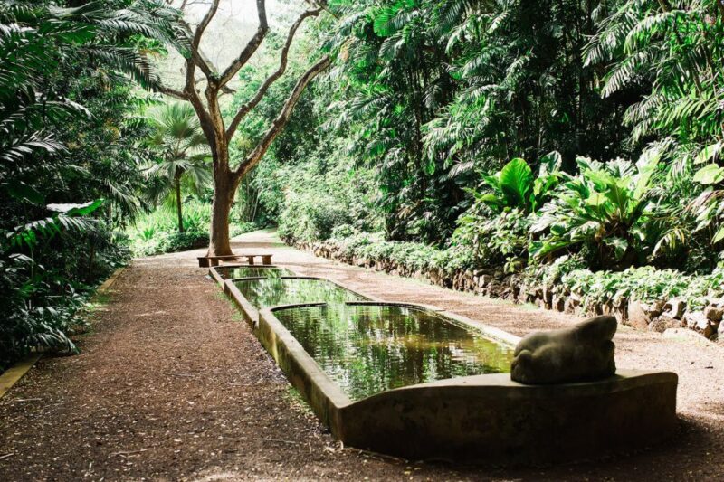 Kauai: Allerton Garden Guided Group Walking Tour - Who Will Love This Tour?