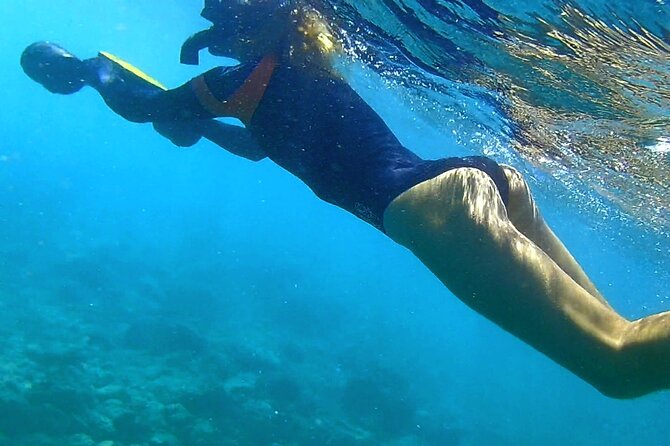 Kauai Snorkeling Adventure - FAQ: Your Questions Answered