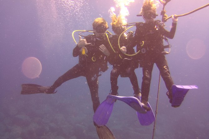 Kauais Ultimate Discover Scuba Dive - OCEAN EXPERIENCE (1 Tank Dive) - Instructor Expertise and Training