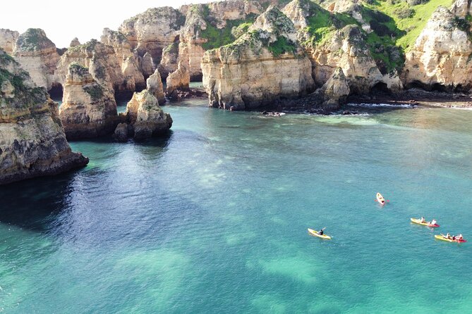 Kayak Experience in Ponta da Piedade - What the Reviews Say: Authentic Perspectives