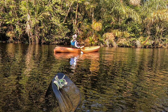 Kayak Tour - Guide and Wildlife Observations