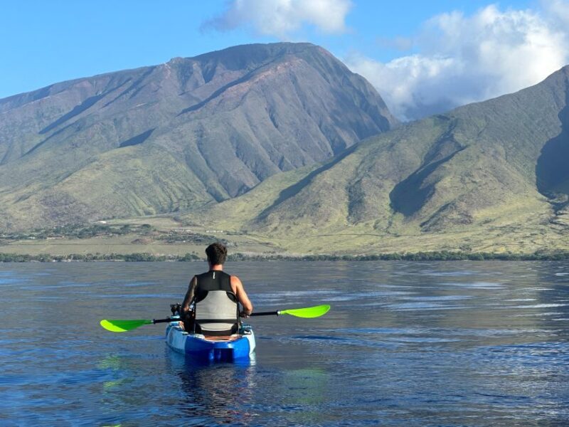 Kayak, Whale Watch And Snorkel At Turtle Town - Final Thoughts