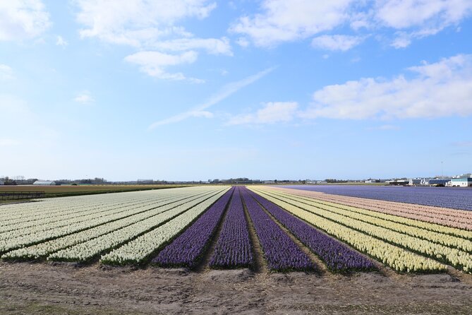 Keukenhof Gardens and Delft Guided Tour From Amsterdam - Guided Tour of a Delft Pottery Factory