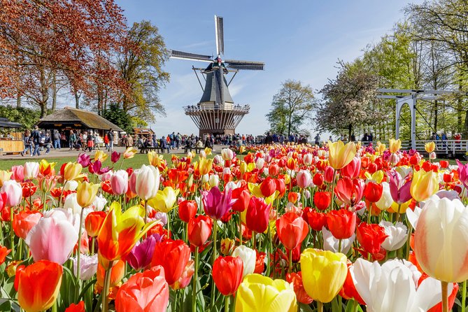 Keukenhof Gardens & Tulip Experience Tour from Amsterdam