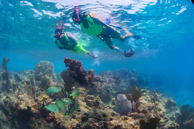 Key West Rum and Reggae:Reef Snorkel Adventure and Sunset Sail - Memorable Experiences and Reviews