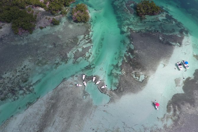 Key West Safari Eco Sandbar Tour Adventure with Snorkeling - What to Bring and Wear